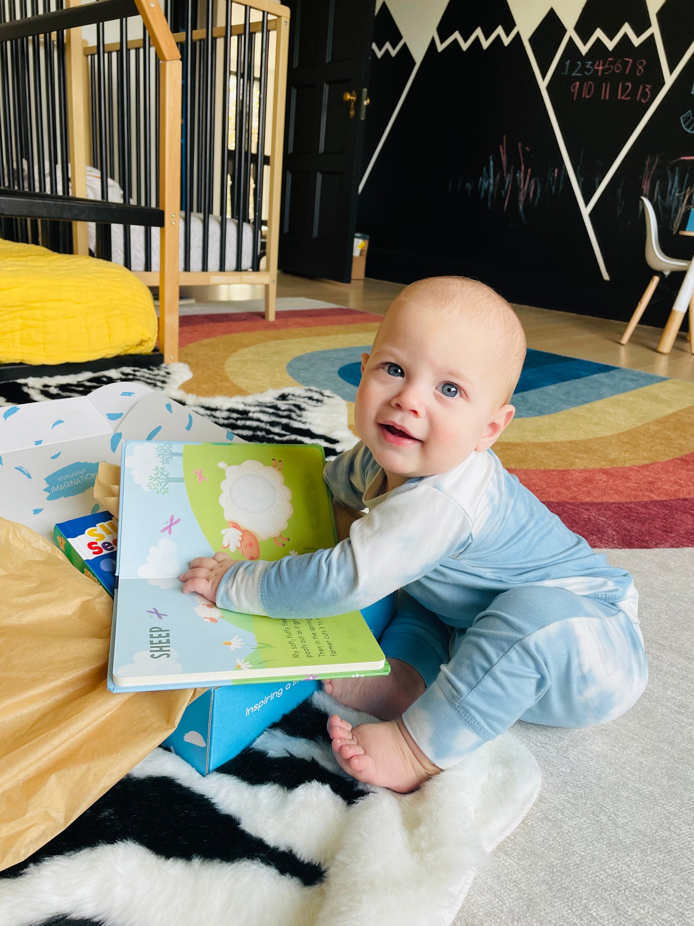 Baby Book Box – Little Hippo Books